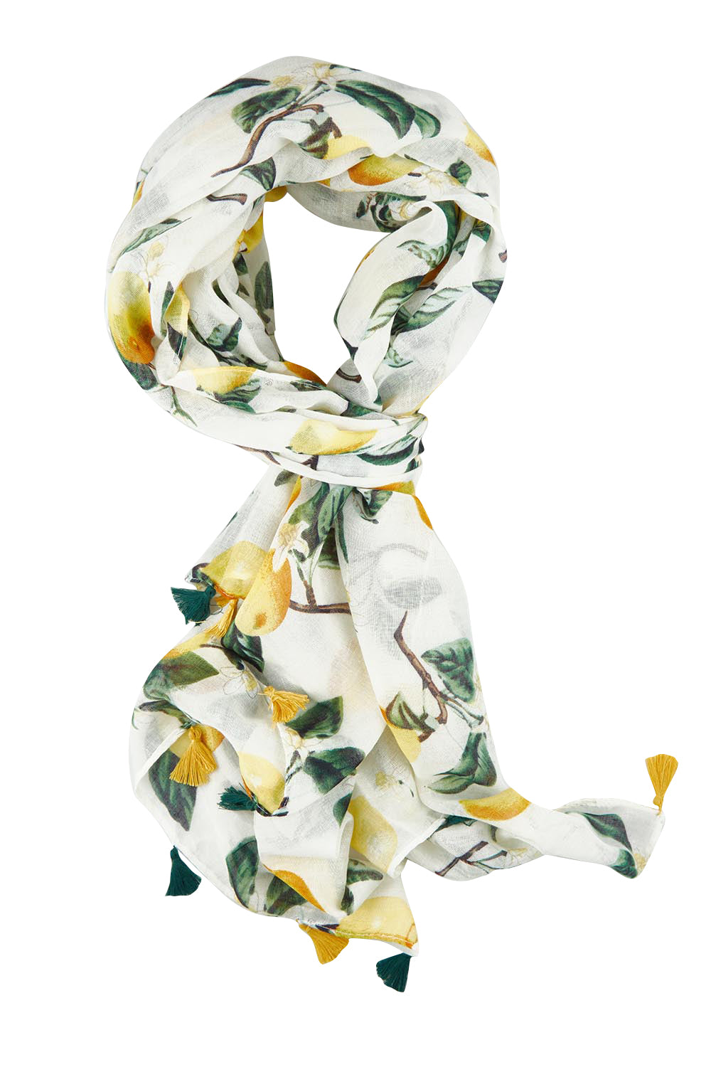 Greenwood Designs Women's Scarves Multi Women's Fashion – birdsnest